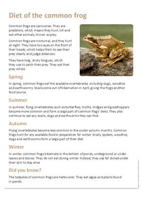 Log in to Maestro or Quick Teach | Cornerstones Education