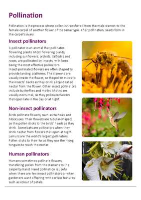 Log in to Maestro or Quick Teach | Cornerstones Education