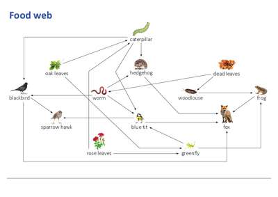 Log in to Maestro or Quick Teach | Cornerstones Education