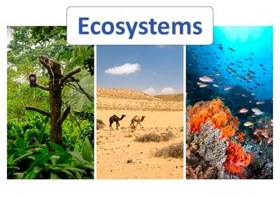 Log in to Maestro or Quick Teach | Cornerstones Education