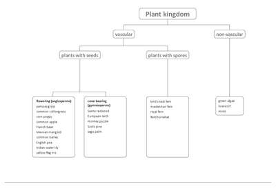 Log in to Maestro or Quick Teach | Cornerstones Education
