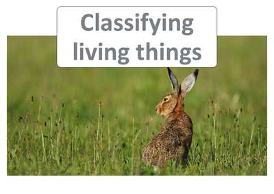 Log in to Maestro or Quick Teach | Cornerstones Education