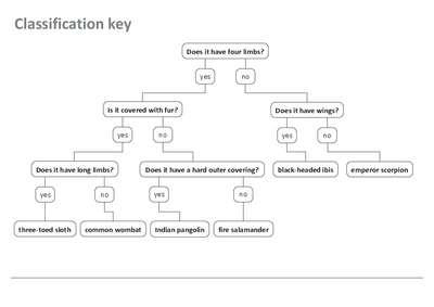 Log in to Maestro or Quick Teach | Cornerstones Education