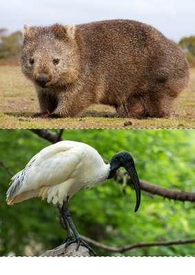 Log in to Maestro or Quick Teach | Cornerstones Education