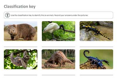 Log in to Maestro or Quick Teach | Cornerstones Education