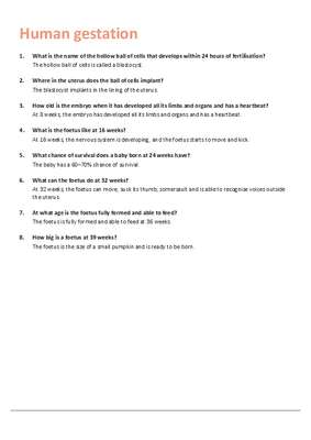 Log in to Maestro or Quick Teach | Cornerstones Education