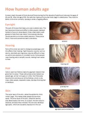 Log in to Maestro or Quick Teach | Cornerstones Education