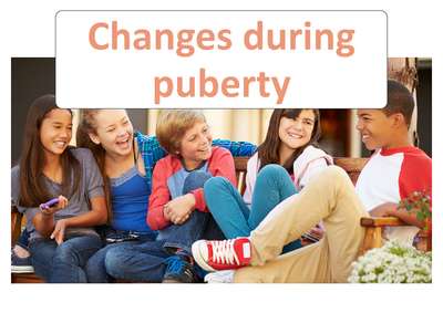 Log in to Maestro or Quick Teach | Cornerstones Education