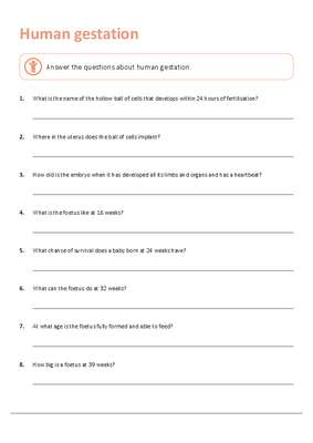 Log in to Maestro or Quick Teach | Cornerstones Education