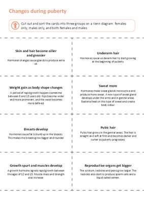 Log in to Maestro or Quick Teach | Cornerstones Education