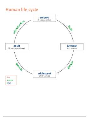 Log in to Maestro or Quick Teach | Cornerstones Education
