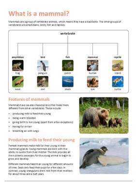 Log in to Maestro or Quick Teach | Cornerstones Education