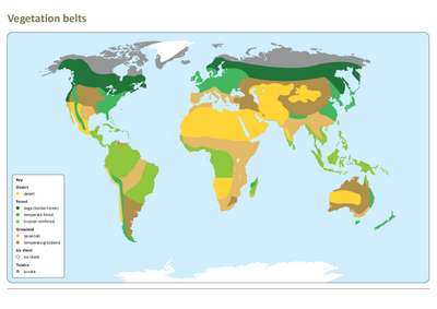 Log in to Maestro or Quick Teach | Cornerstones Education