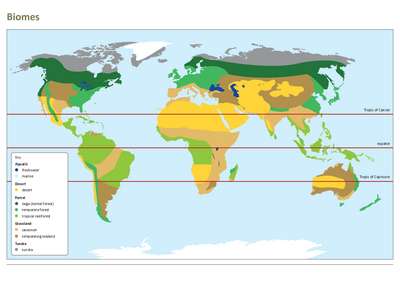 Log in to Maestro or Quick Teach | Cornerstones Education
