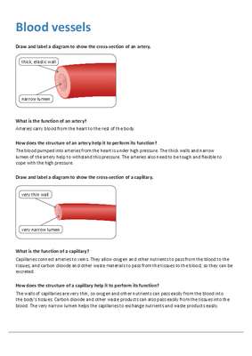 Log in to Maestro or Quick Teach | Cornerstones Education