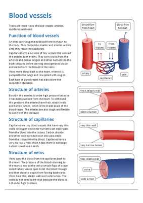 Log in to Maestro or Quick Teach | Cornerstones Education