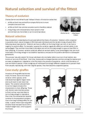 Log in to Maestro or Quick Teach | Cornerstones Education