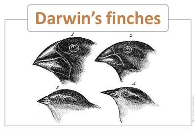 Log in to Maestro or Quick Teach | Cornerstones Education